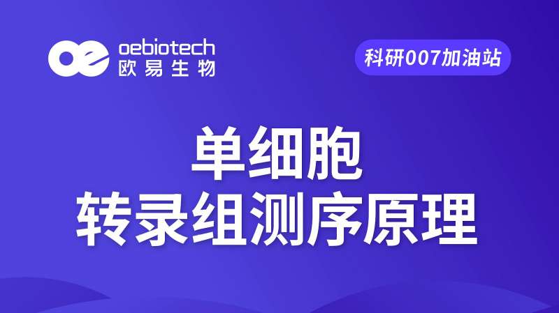 「单细胞测序1」单细胞转录组测序原理-欧易生物