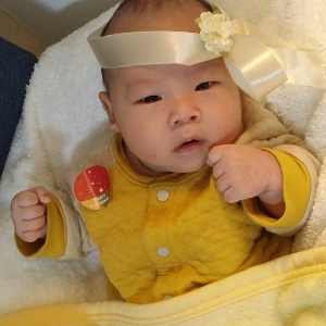 和我说话不用投币 