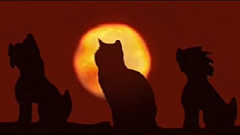 故宫博物馆中, 一只混入屋脊兽的猫咪, 喵 我是神兽, 木得感情!~