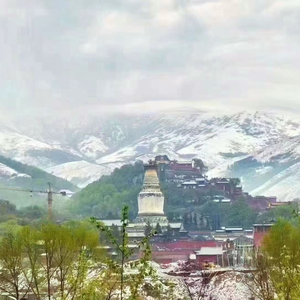五台山半山丛林别墅 