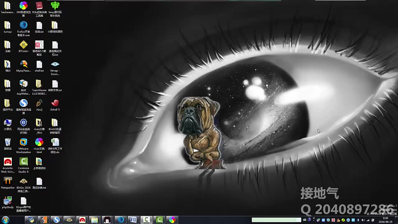 WEB渗透中的信息收集篇