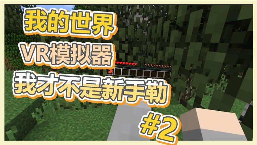 我的世界:VR模拟器,我才不是新手呢#2