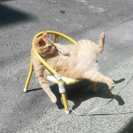 有点点大病 