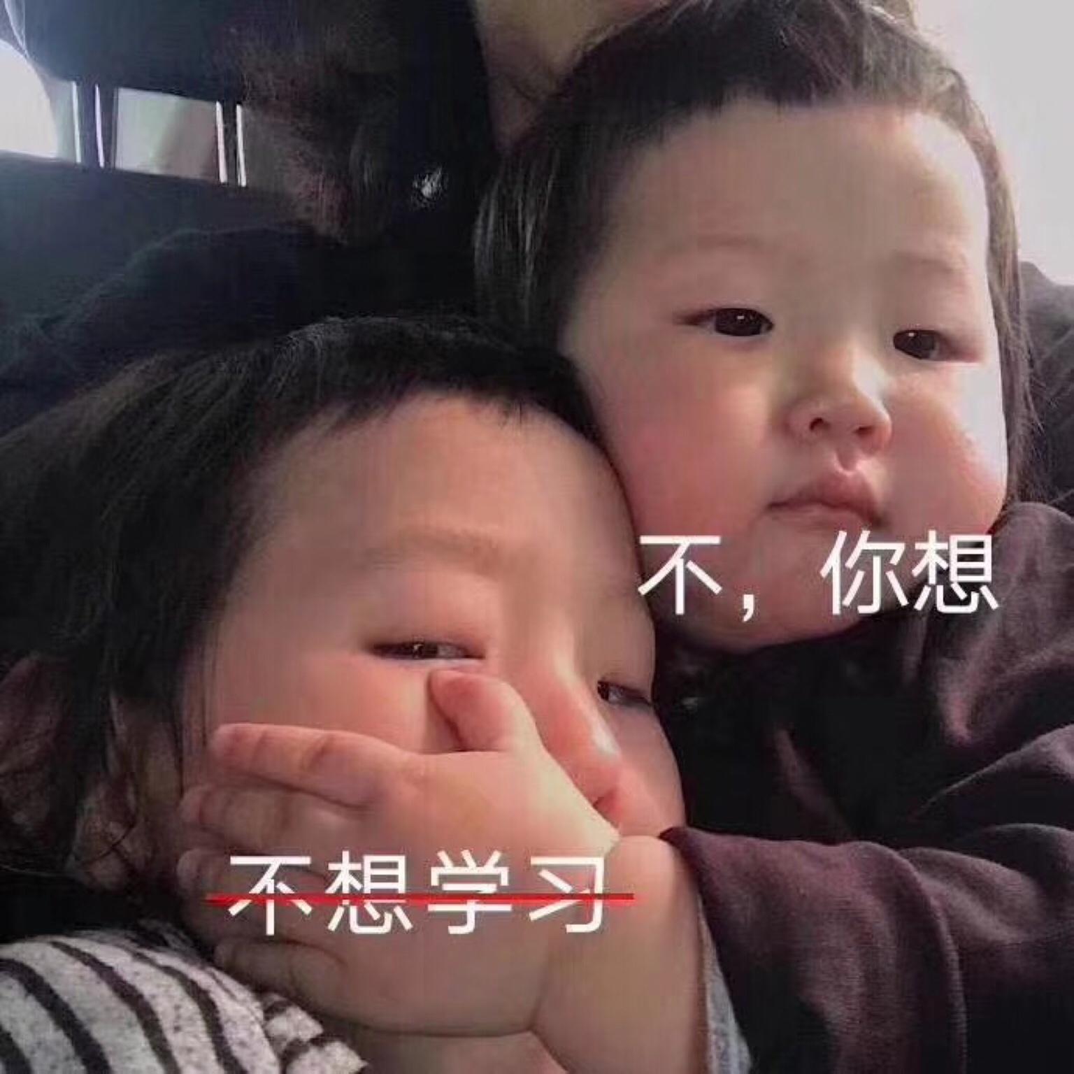 无水流觞 
