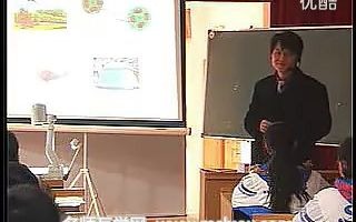 图形的旋转-江苏省初中数学新课程优质课评比暨观摩