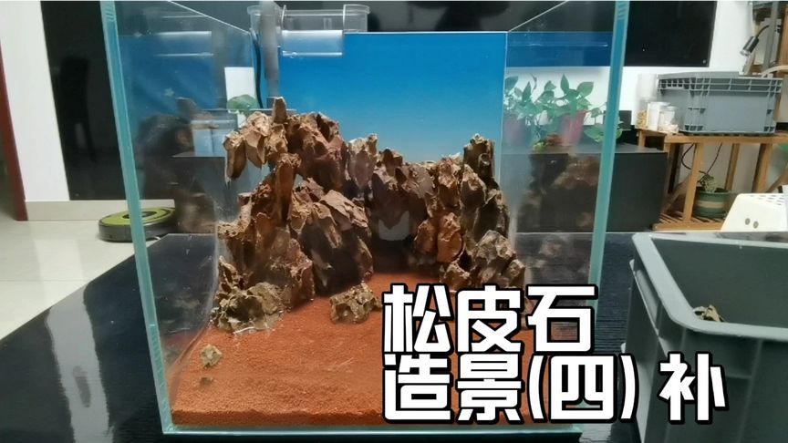 30方缸开缸全过程(四) 补松皮石造景