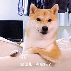 汪了个汪哟 