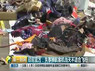 印尼官方:失事狮航客机当