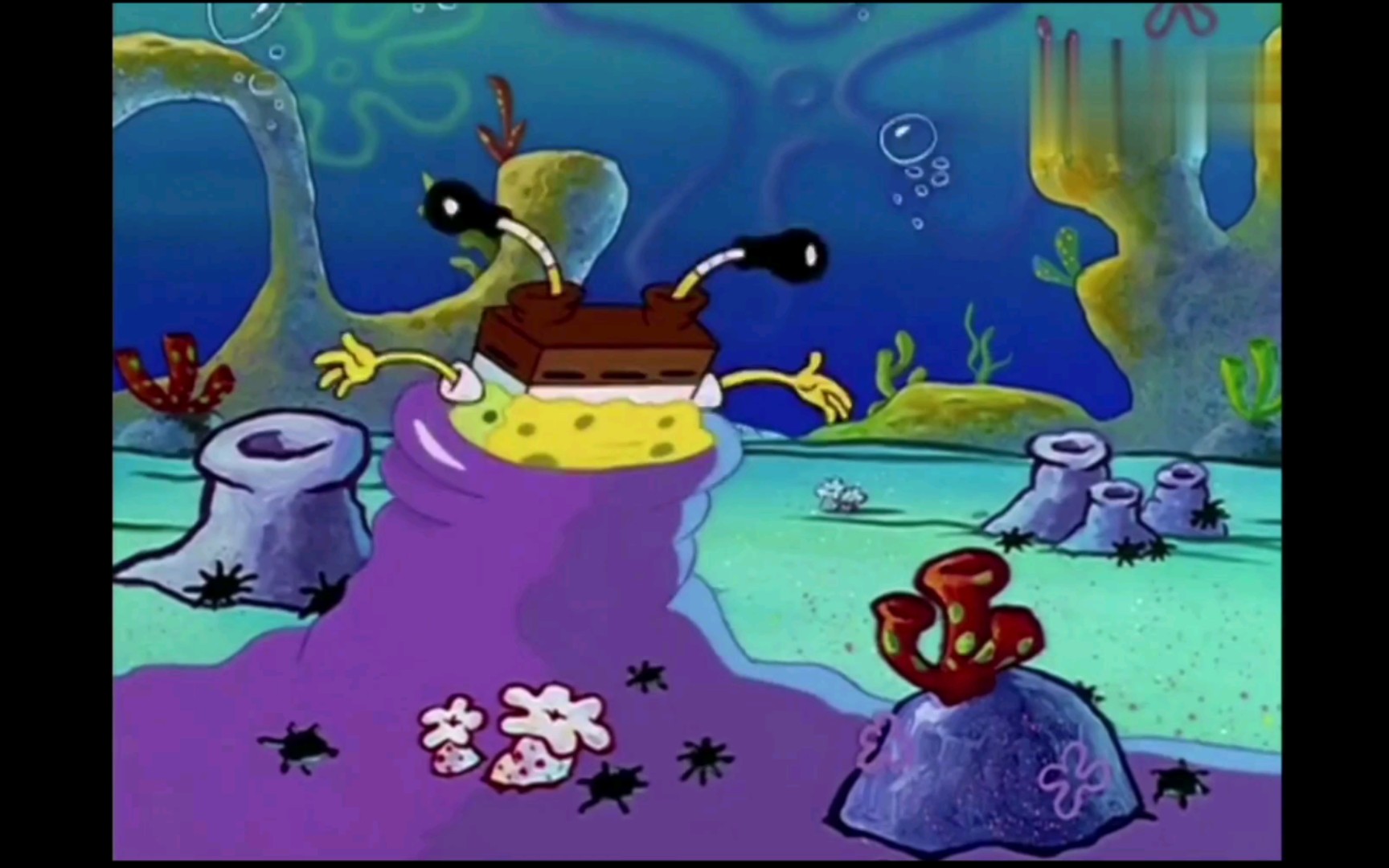 海绵宝宝和珊迪的初次见面#你想象不到的奇葩搞笑的自我介绍方式