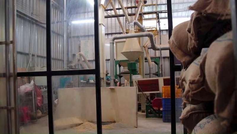 越南咖啡加工过程