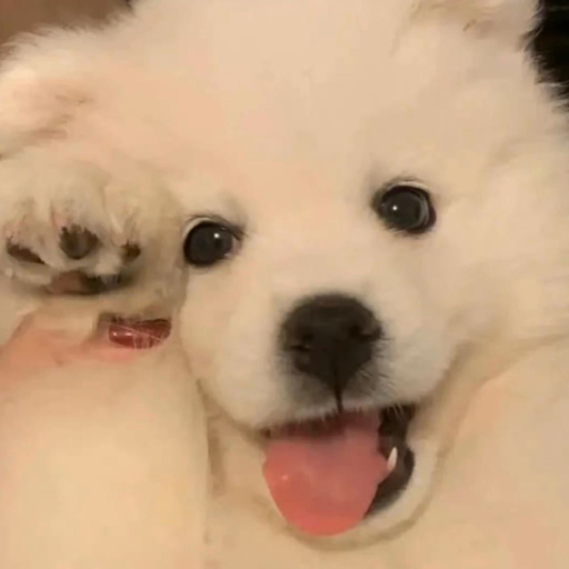 是七七吖LLLiu 