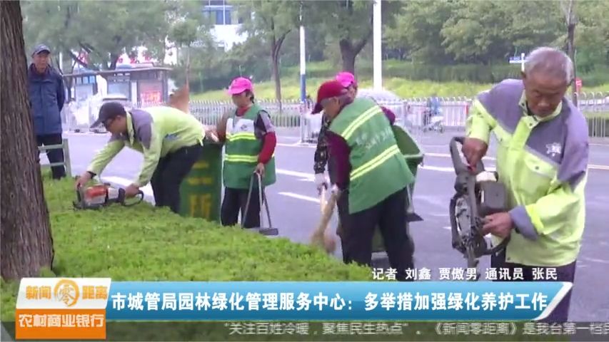 视频 | 市城管局园林绿化管理服务中心:多举措加强绿化养护工作