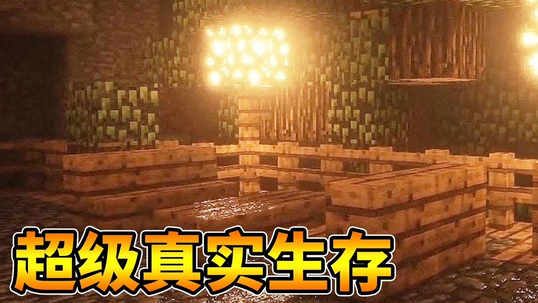 我的世界超真实生存2:碰到末影人前去进攻,全军覆没!