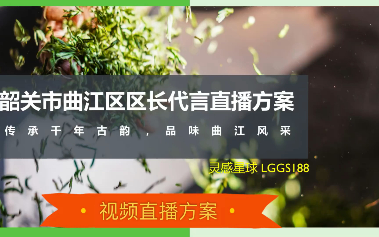 韶关市区长代言直播营销策划方案 60页 #区长直播带货 #市长直播带...