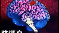 心脑血管疾病的危害及预防