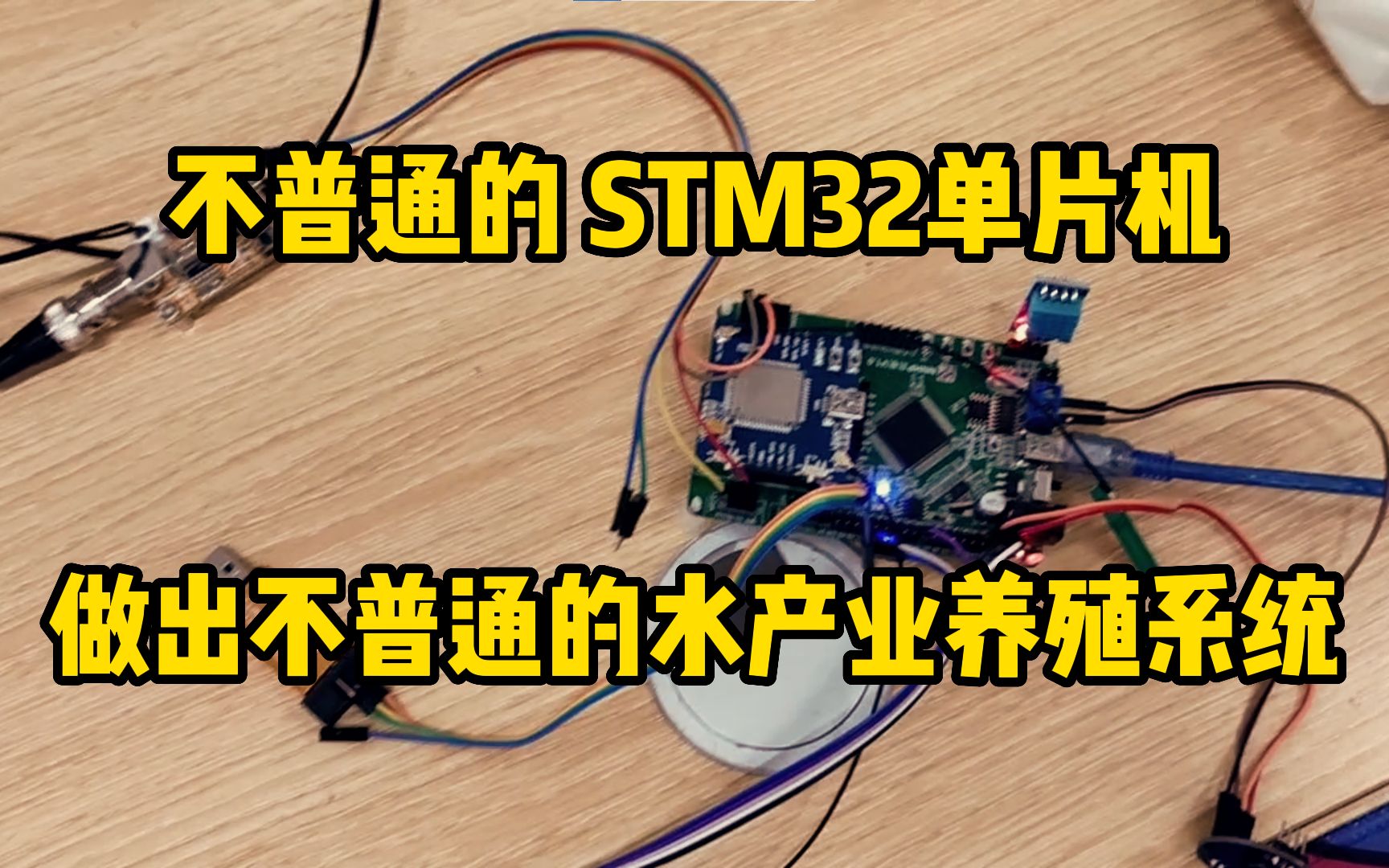 【水产业养殖系统设计】这可是不简单的 STM32单片机.