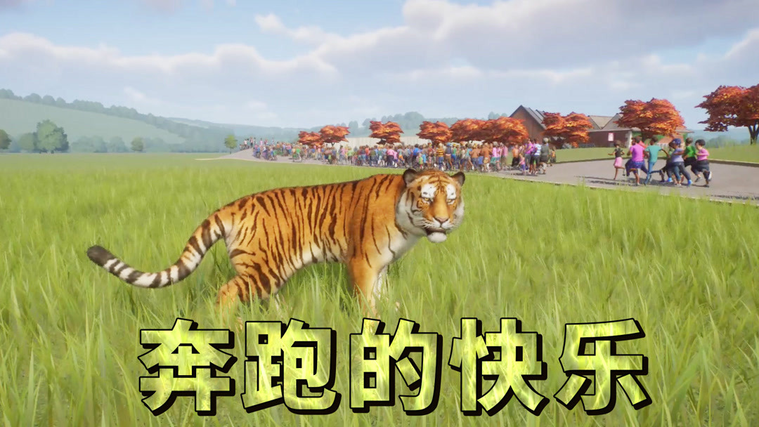 动物园之星12:我放出老虎,让游客享受奔跑的快乐