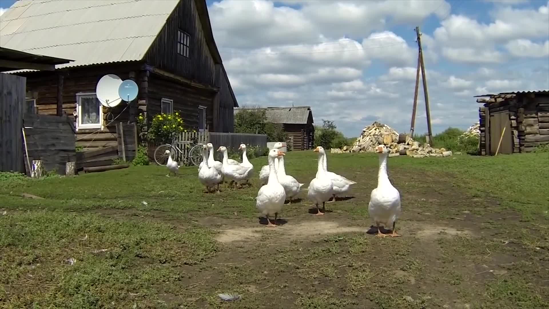 俄罗斯乡村生活的真实场景,很荒凉,百亩地上只有几户人家