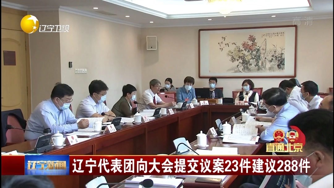   辽宁代表团向大会提交议案23件建议288件