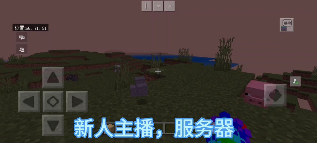 服务器日常1:新人腐竹,求各位老腐竹指导