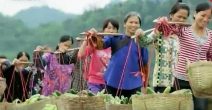 我区30亿元授信支持"专精特新"中小企业发展壮大