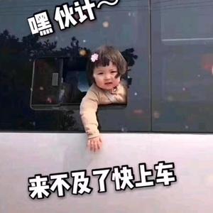 武陵二姐 