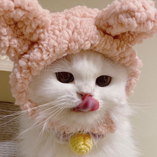 Cilly有猫饼 