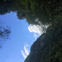弱电小赵 