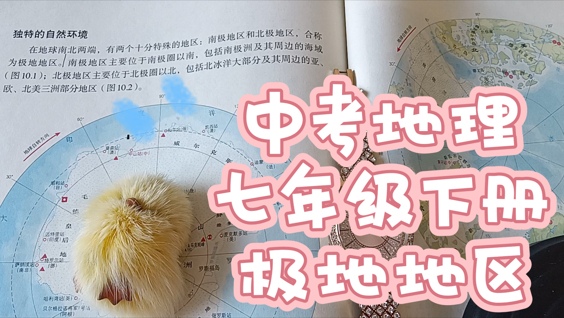 【中考地理】七年级下册|极地地区