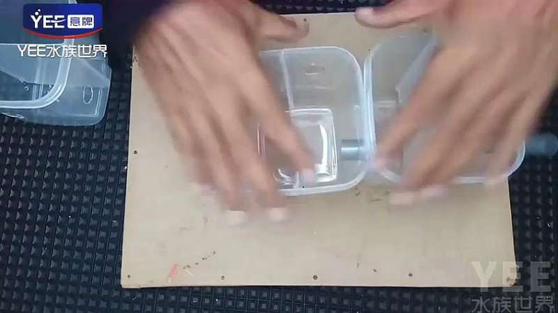 塑料桶自制鱼缸过滤桶,低成本小制作