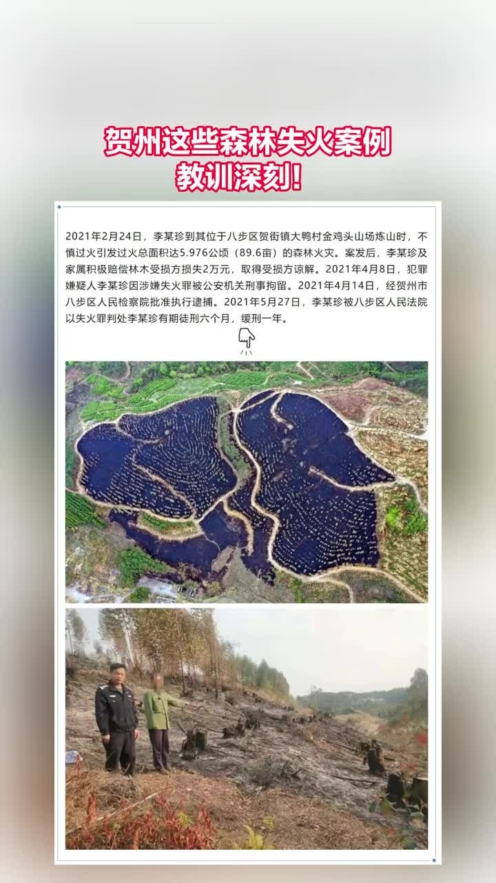 贺州这些森林失火案例教训深刻!