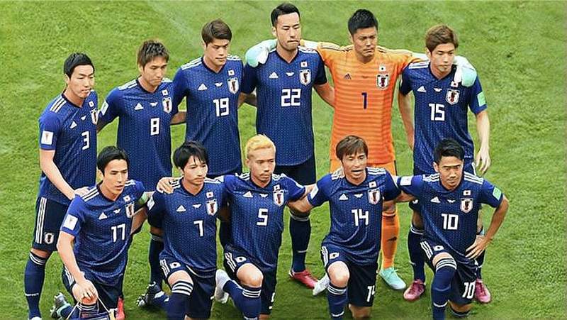 2022卡塔尔世界杯 足球 体育资讯