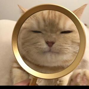 小丑剧 
