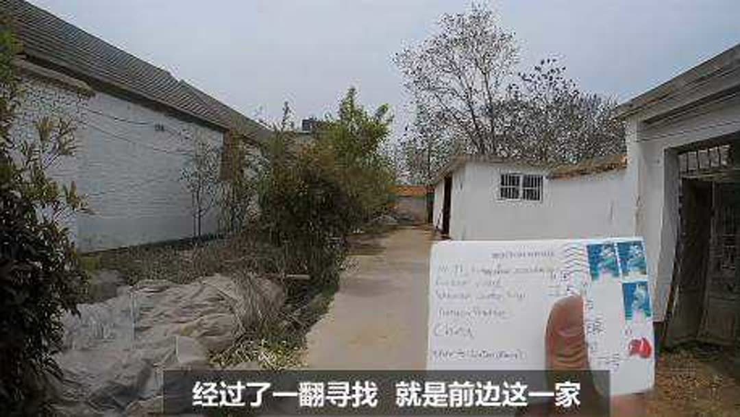 外国寄来的信,我们一样能送到家