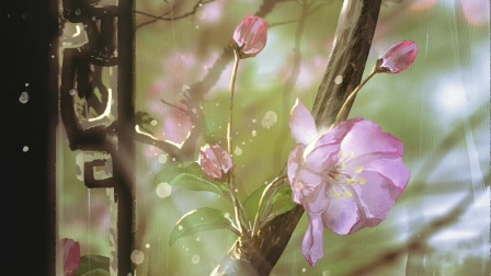 会计概述-会计概念,职能和目标