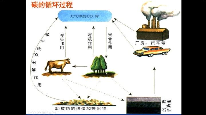 -生态系统的物质循环