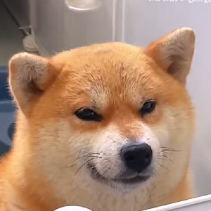 想学有限元 
