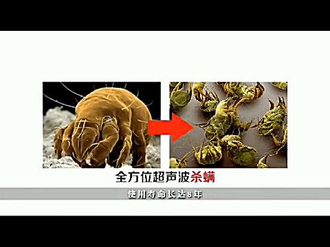 家用超声波除螨仪