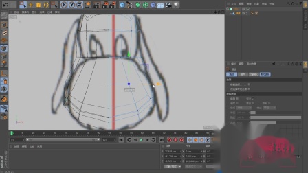 C4D大鼻子狗角色建模技法02