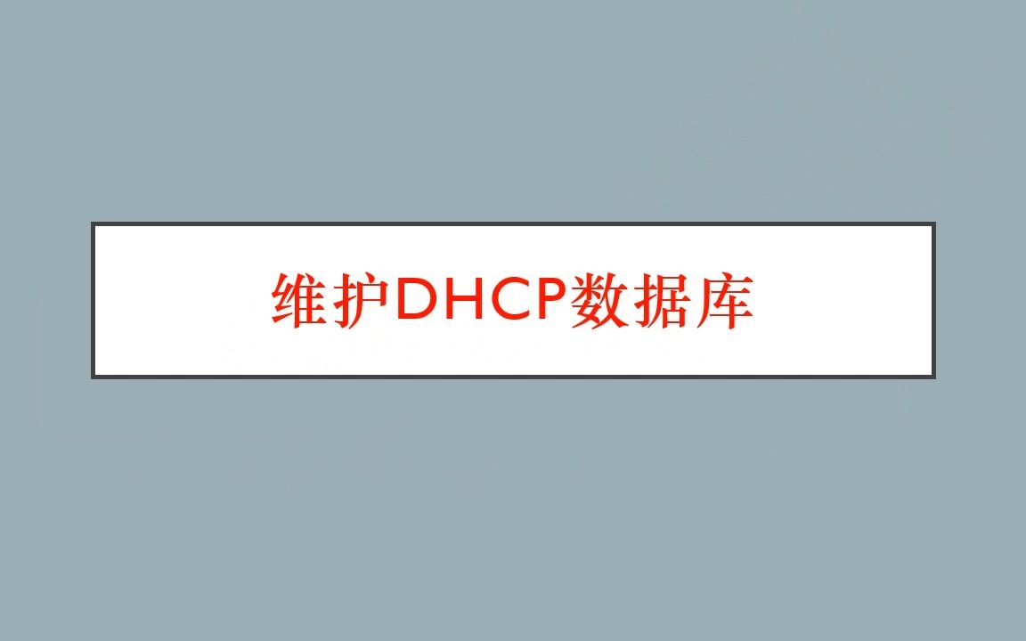 项目11任务3-维护DHCP数据库