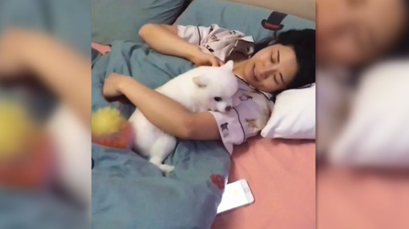 小狗受委屈后躲在女主人怀里撒娇,结果这时候男主推门而入!