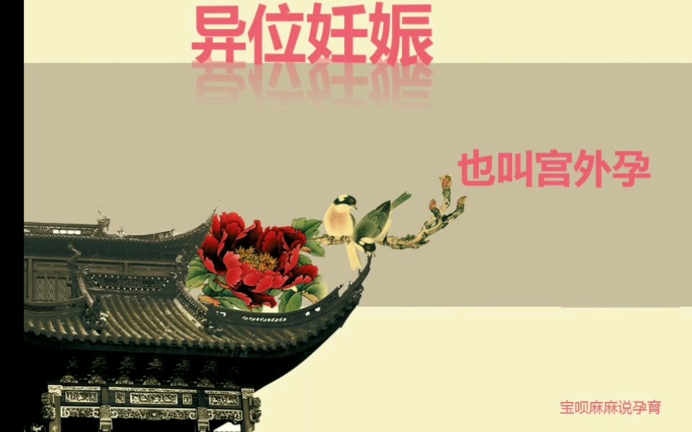 宫外孕 异位妊娠