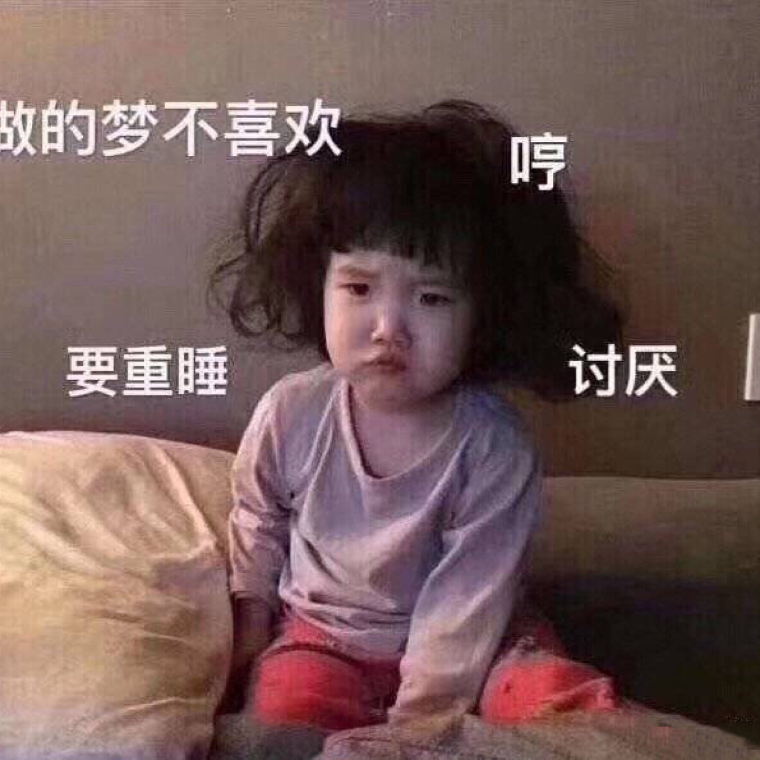 那些花儿951138044 