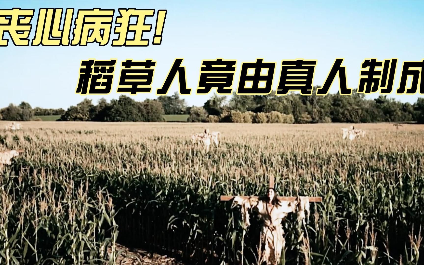 这片稻田里若干稻草人,竟是真人制成,简直丧心病狂!