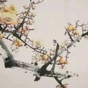 索来米索i6wy 