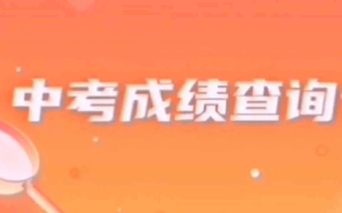 郑州中考生查分实录