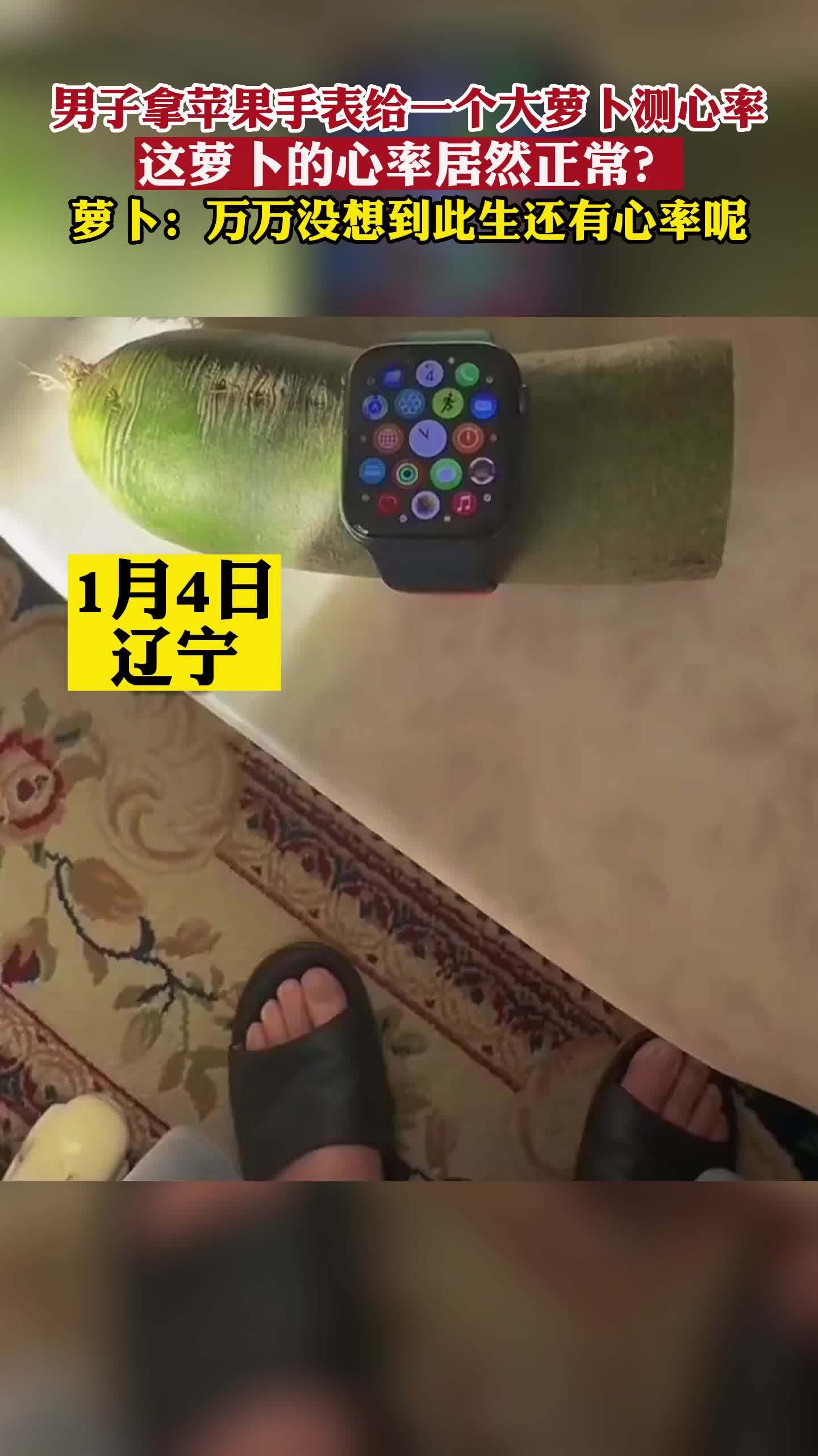 男子拿苹果手表给一个大萝卜测心率,这萝卜的心率居然正常?