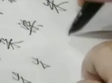 05_田英章硬笔书法作品欣赏