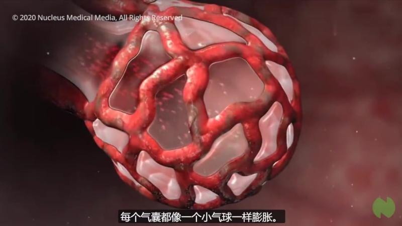 3D动画讲解新型冠状病毒传播、感染、致病以及疫苗全过程