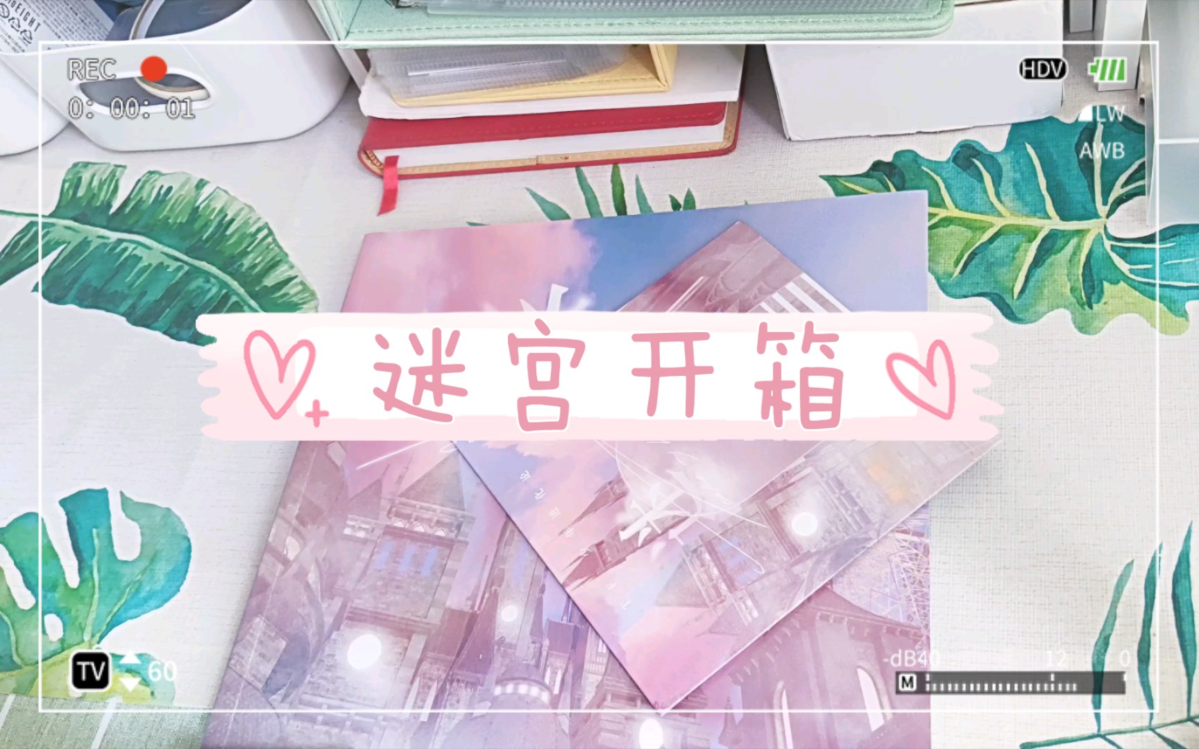 迷宫开箱–TF家族/三代迷宫家族全套